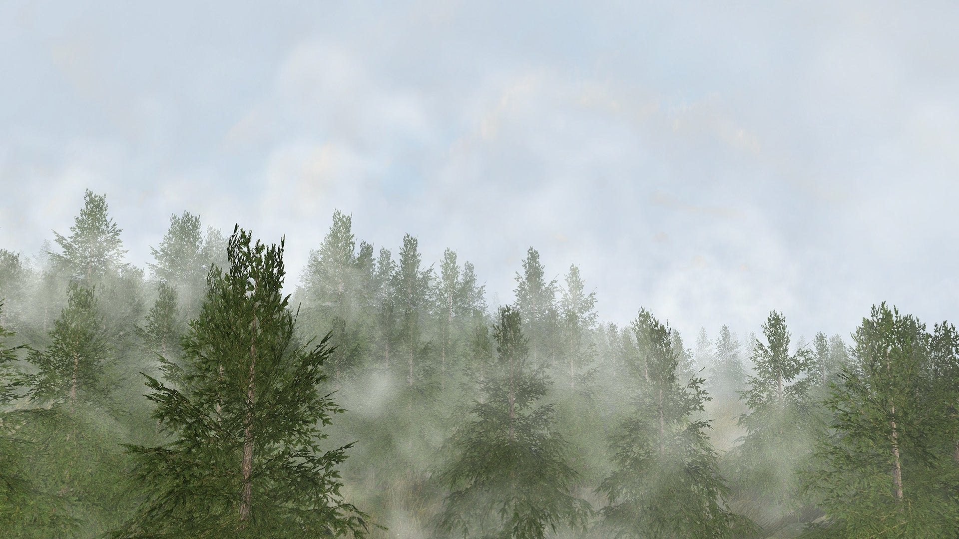 Forest Mist – Realtime VFX Store