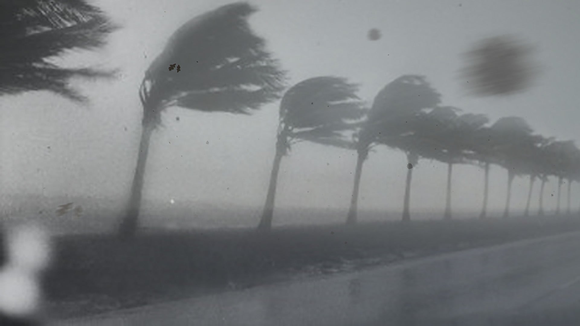 Hurricane Wind FX – Realtime VFX Store