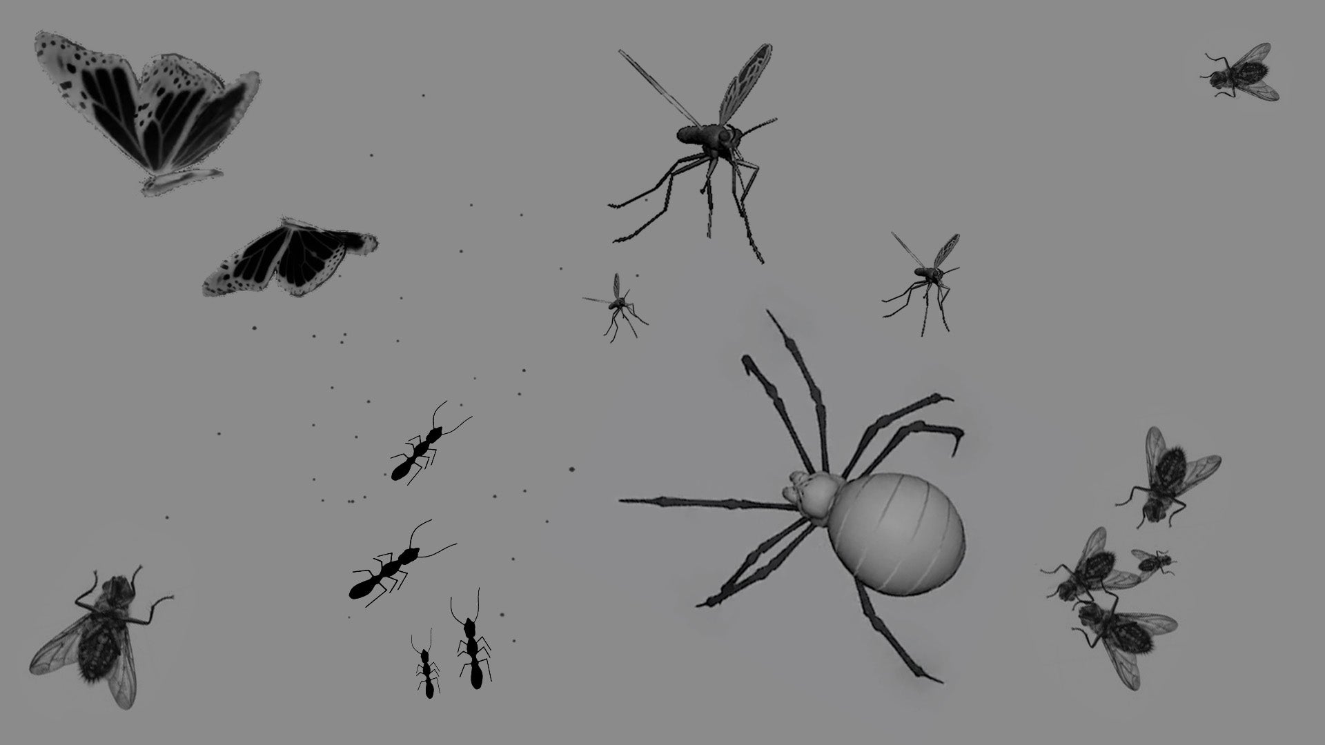 Bugs and Insects – Realtime VFX Store