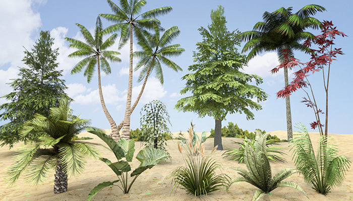 Plants, Grass and Trees Pack – Realtime VFX Store