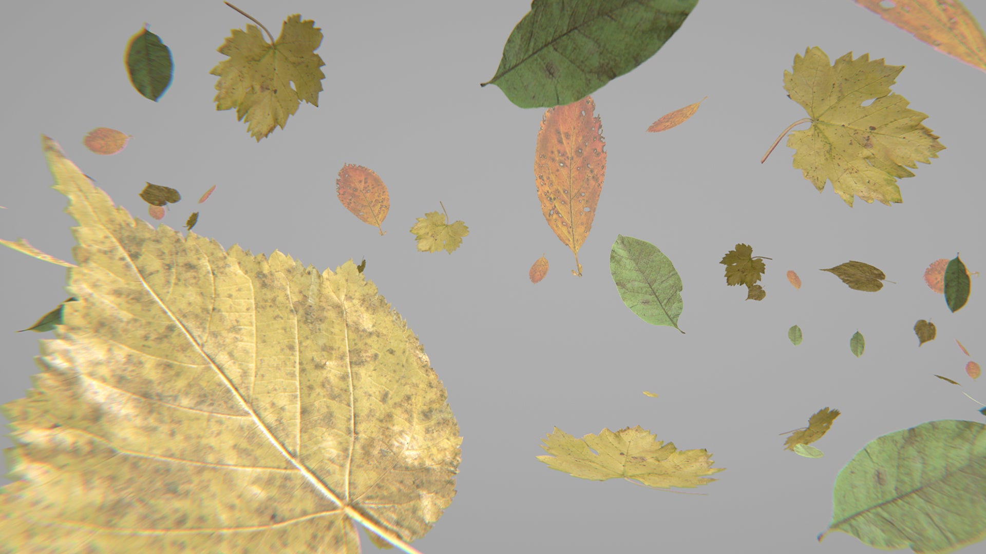 Blowing Leaves – Realtime VFX Store